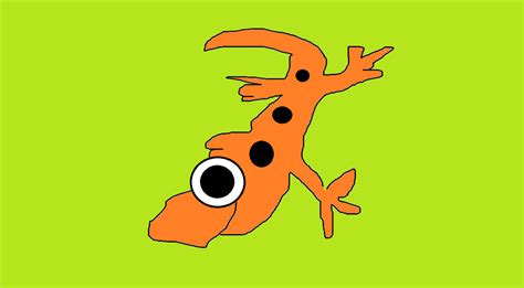 Patchwork Newt Patchwork Pals Wiki Fandom Patchwork Newt Patchwork Pals Wiki Fandom