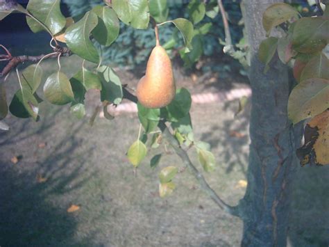 Samples Taken With Minox Dd1 21mp