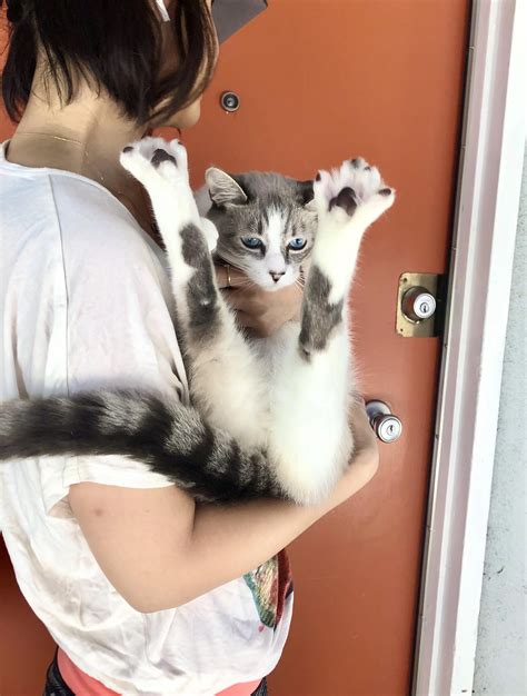 What Do Feet Go Scrolller