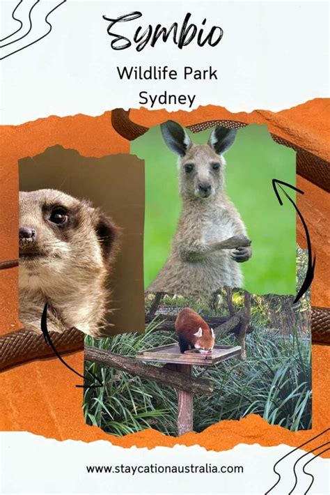 Symbio Wildlife Park All You Need To Know To Visit 2026 Staycation