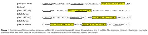Bacillus Clausii And Bacillus Halodurans Lack Glnr But Possess Tw