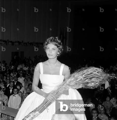 Image Of The Actress Sophia Sofia Loren At The Xix International Film