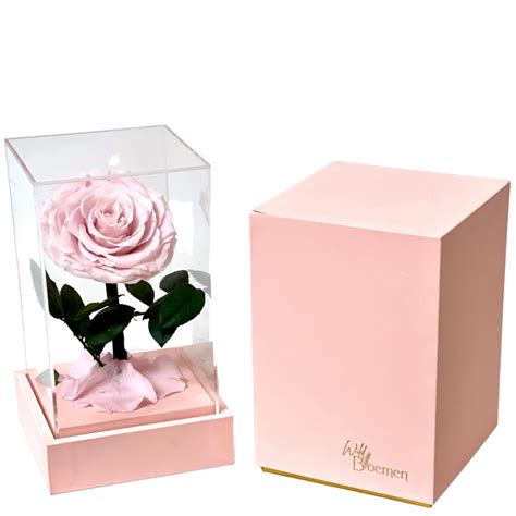 Gorgeous Mixed Colours Roses Flower Box Crystal Gem Flower Box Flower