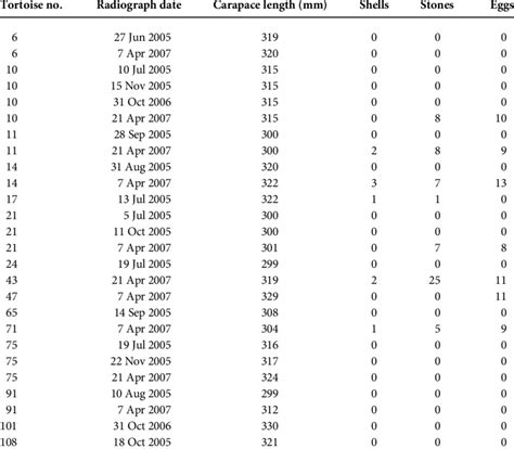 Numbers Of Fossil Shells Stones And Eggs Visible In Radiographs Of