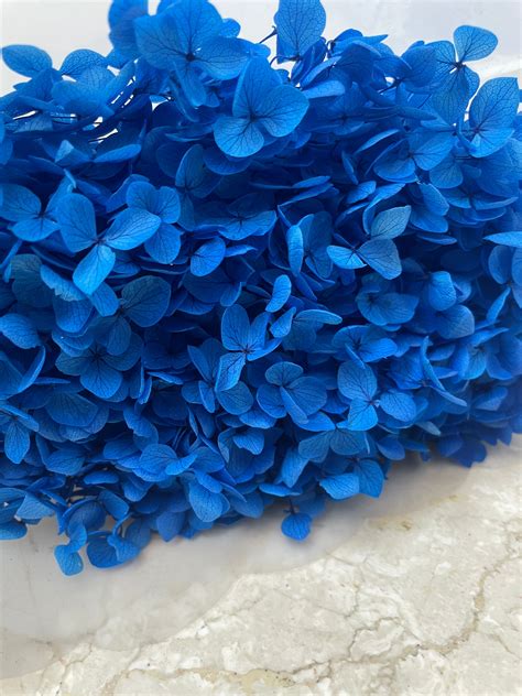 Preserved Hydrangea Arrangement Spruce Florals And Events