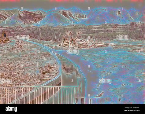 Dead Sea Album Prepared For The Palestine Potash Ltd One Of The