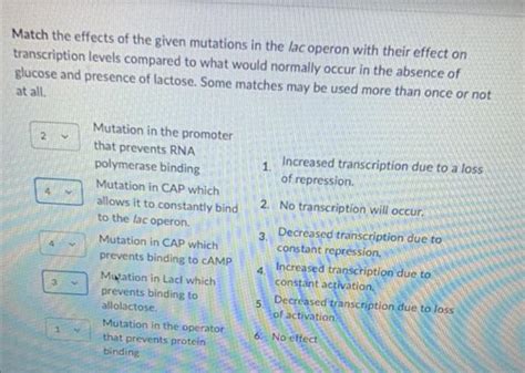 Solved Match The Effects Of The Given Mutations In The Lac