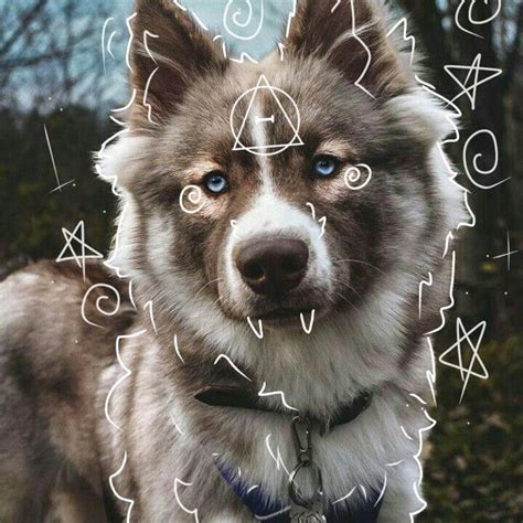 Arctic Fox Therian Mask Etsy