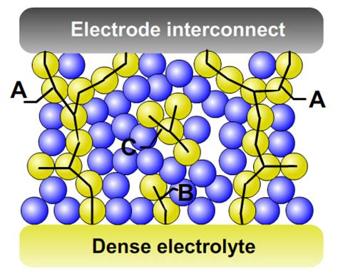 What Is A Generalized Or Composite Cell