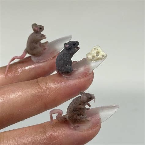 Крысиные ногти Animal With Nails Rat Nails Cursed Nail Art