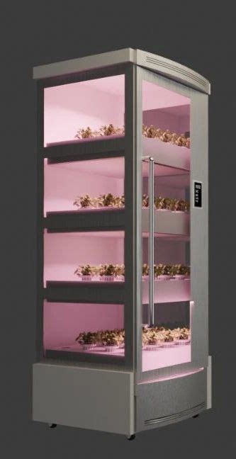 Imagine That You Have A Small Greenhouse In Your Home And Whenever You Want You Can Open It