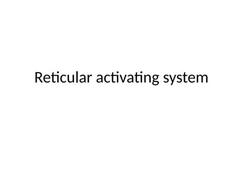 Reticular Activating System In The Brain Pptx