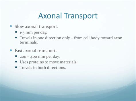 Nervous Tissue Dr Michael P Gillespie Ppt Download