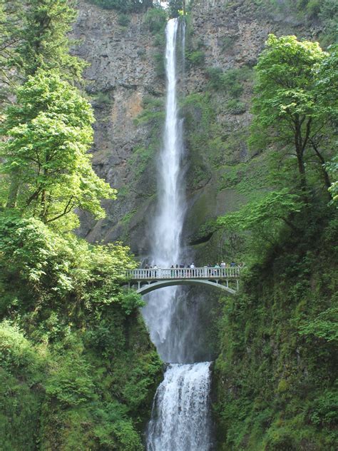 10 Great Waterfall Hikes Near Multnomah Falls — Pines And Vines