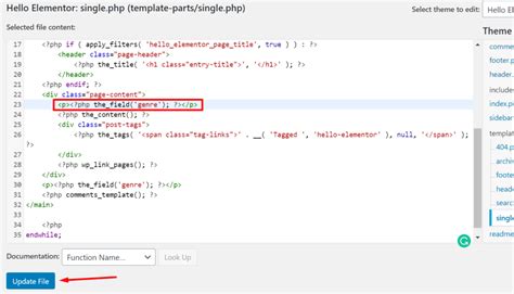 How To Display An ACF Field On A Page