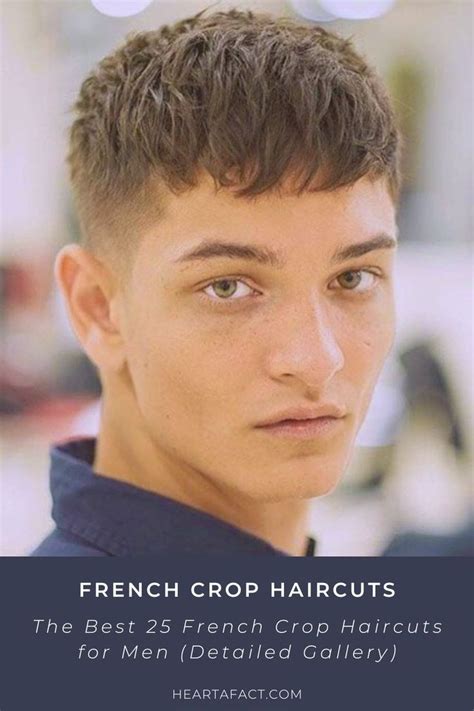 The Best 25 French Crop Haircuts For Men Detailed Gallery Crop