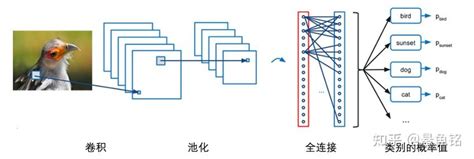 Pytorch 中的损失函数 知乎