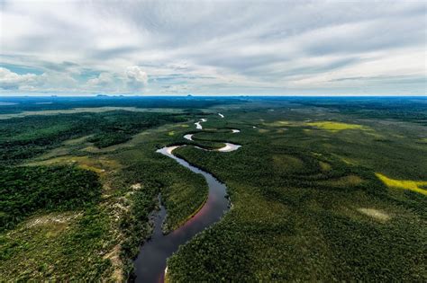 Caf Destinará 40000 Millones De Dólares Para El Crecimiento Verde En Los Próximos Cinco Años En