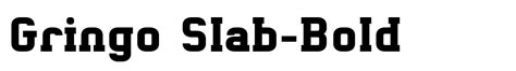 Gringo Slab Font Webfont And Desktop Myfonts