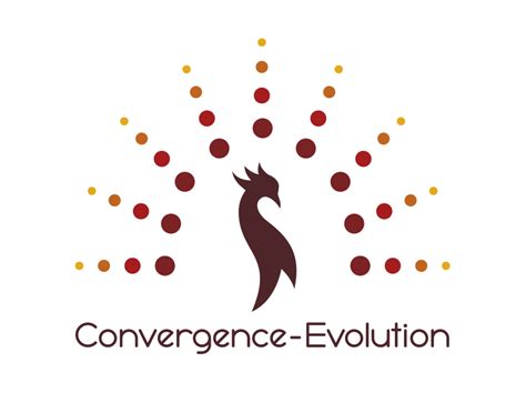 Programme De Stage énnéagramme Convergence Évolution