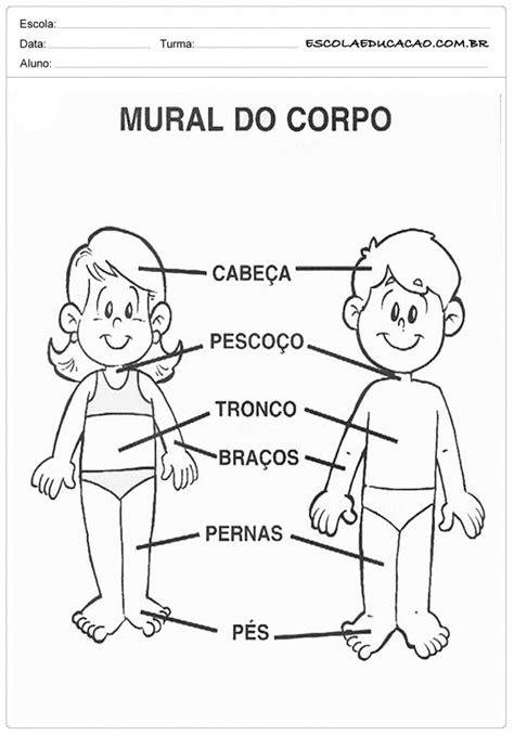 Atividades Esquemas Corporal Para Imprimir Educação Escola educação Educação infantil