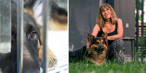 Höll Hunden Instängd I Ett Mörkt Garage I Sex år News55