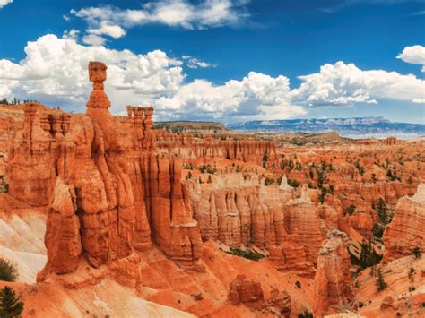 Hoodoos Of Bryce Canyon National Park Desertusa