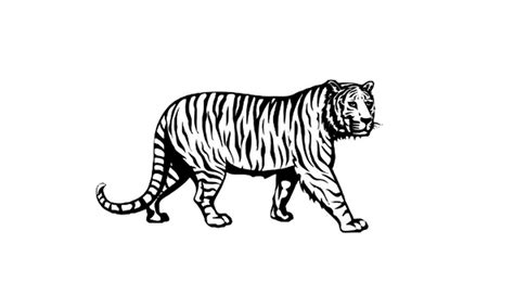 Election Symbols Of Parties