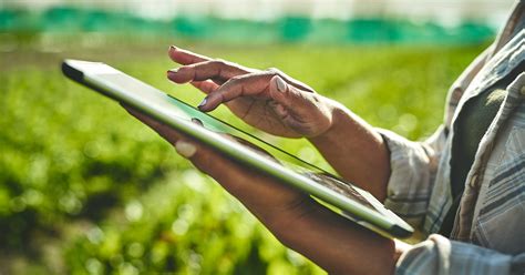 Environmental Data And Analytics 蘑菇tv