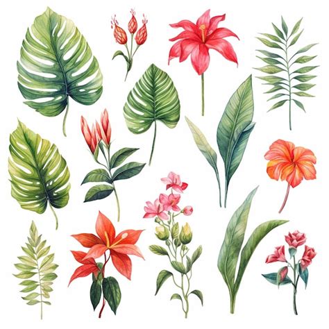 Premium Ai Image Leaf Set