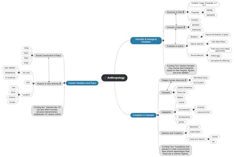 Anthropology1 4354 Mindview Mind Mapping Software