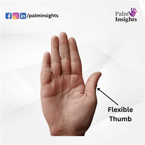 Proven Thumb Reading Techniques To Unveil Your True Self Palm Insights