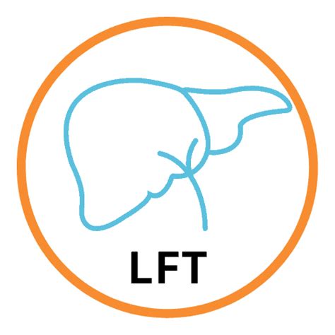 Get Liver Function Test Done At Your Home In India Livofy