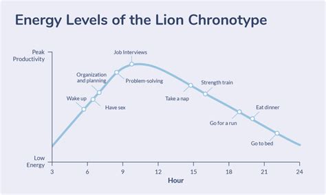The Lion Chronotype Your Ultimate Guide