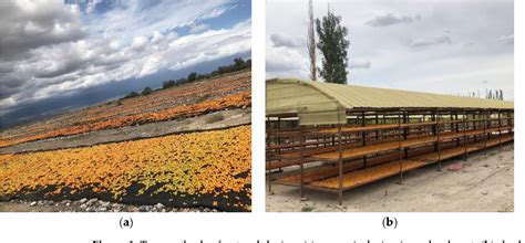 Figure 1 From Effects Of Different Natural Drying Methods On Drying Characteristics And Quality