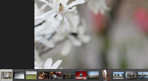 C Why Would Mousemove Not Fire When A Mouse Button Is Pressed Stack Overflow
