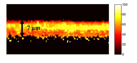 Confocal Fluorescence Microscopy Image Of A 7 µm Tall Cnt Forest After