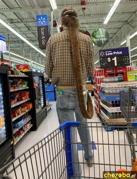 Kitka Chozobapl śmieszne Obrazki Y Filmy Zdjęcia Memy Laski