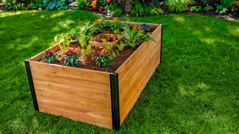 Buying A Raised Garden Bed Best Options For Your Garden Lowes