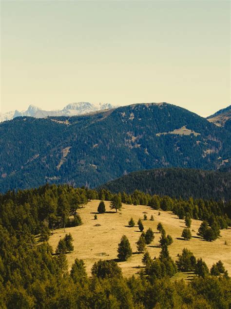 Cutecorewallpaper Photos Download The Best Free Cutecorewallpaper