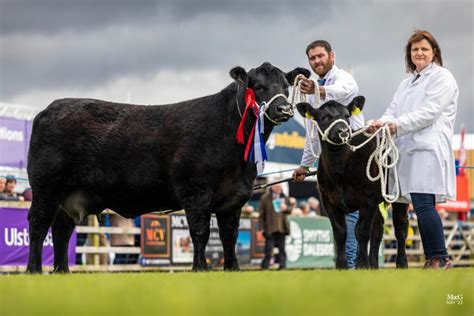 Balmoral Report Aberdeen Angus Cattle Society