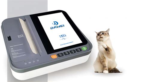 How To Interpret Veterinary Ecg Readings Using The De 12 Ecg Machine
