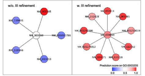 Illustration Of The Interactions And Functional Prediction Scores On