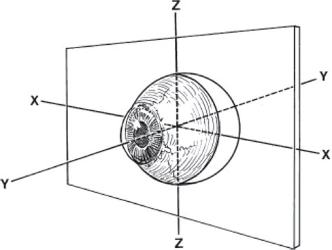 Examination Of Ocular Motility And Alignment Ento Key