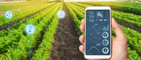 Enhancing Agronomic Research Data Analysis And Collaboration Tools