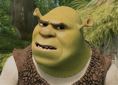 Shrek Confused 💚
