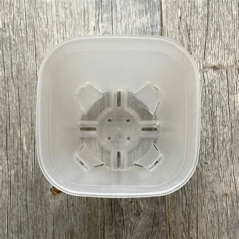 4 Round Cornered Clear Square Pot Quarteracreorchids