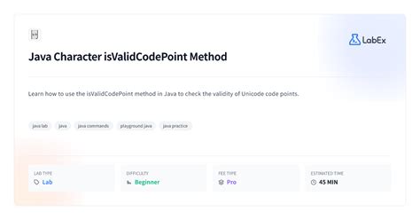exploring java s isvalidcodepoint method labex