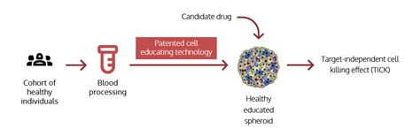 Hcc Model For Small Molecules Targeted Therapy Predictcan