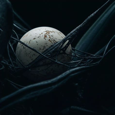 Environmental Symbols → Term